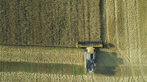 Crops Aerial Stock Footage ~ Royalty Free Stock Videos | Pond5