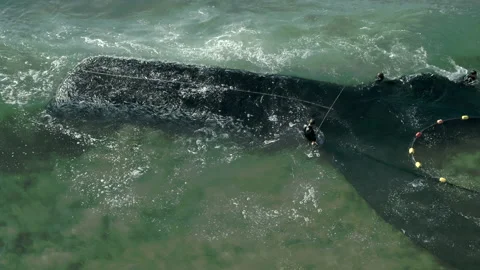 Drag Net Stock Videos – Royalty-Free HD & 4K Videos