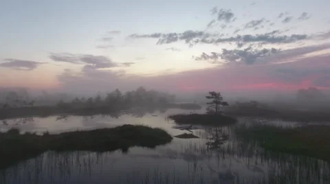 Aerial Drone Shot over Vast Swamp Area a... | Stock Video | Pond5