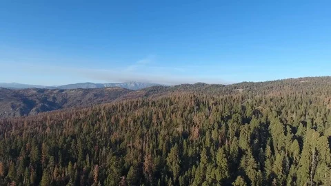 Sequoia national park drone store