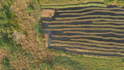 Aerial Drone Top Down Floating Farmland ... | Stock Video | Pond5