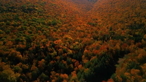 Aerial drone view of shocking fall folia... | Stock Video | Pond5