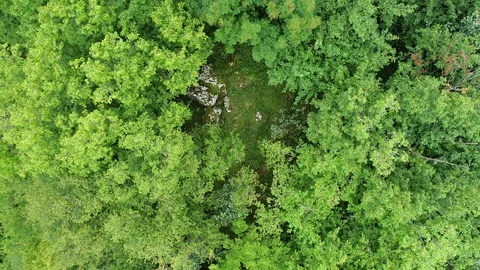 aerial fly top view of green forest back... | Stock Video | Pond5