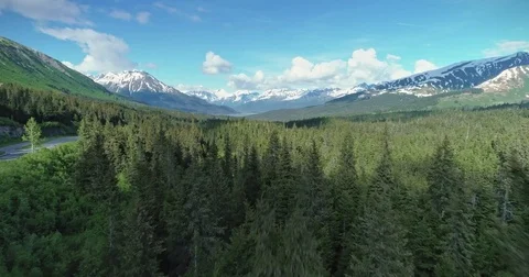 Aerial: flying over pine trees, near Chu... | Stock Video | Pond5