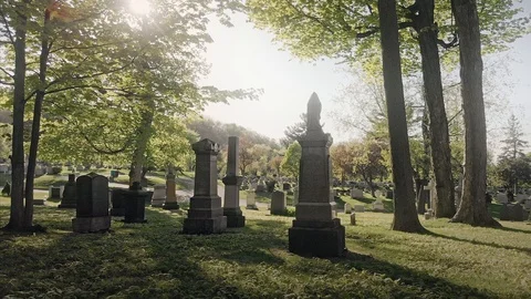 AERIAL: flying through a cemetery and tr... | Stock Video | Pond5