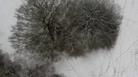 Aerial footage looking down on trees, a ... | Stock Video | Pond5