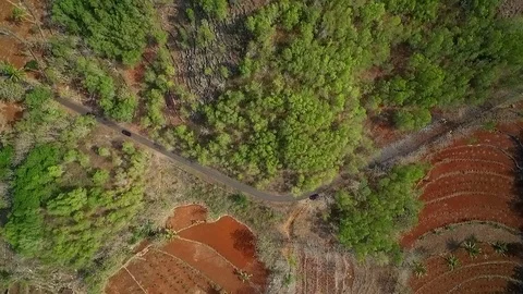 Aerial footage top view farm field and g... | Stock Video | Pond5