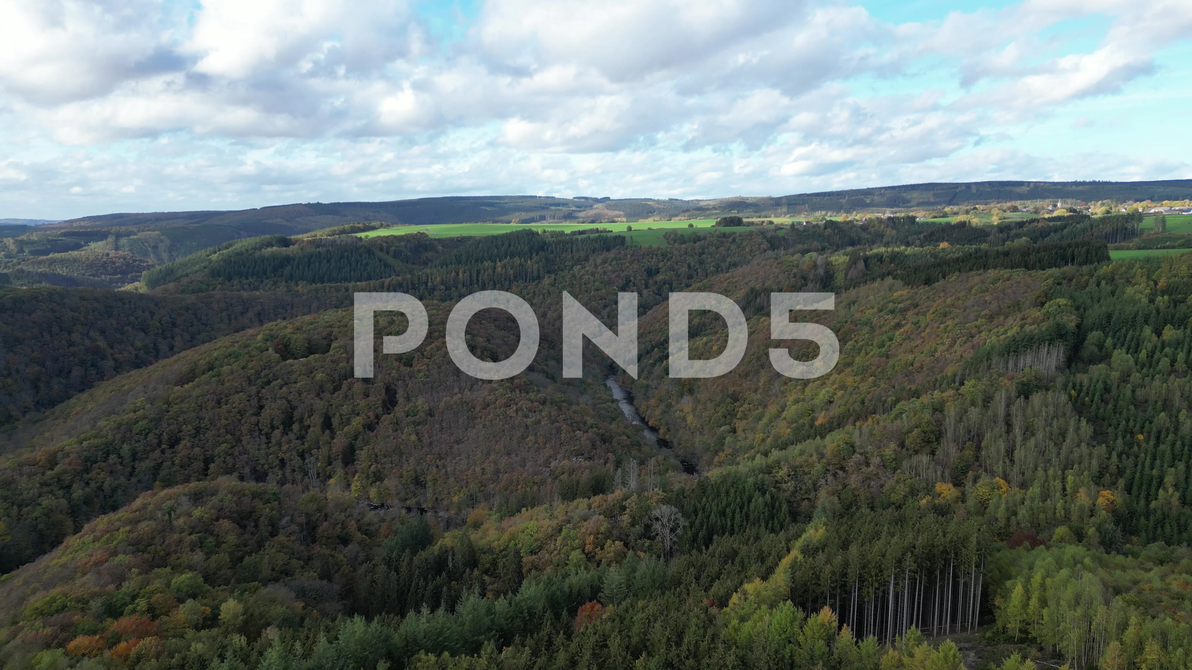 Ardennes Forest Countries