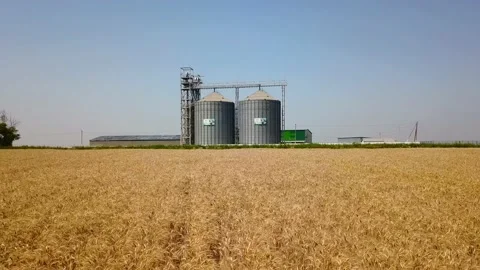 Aerial of grain elevator in front of whe... | Stock Video | Pond5