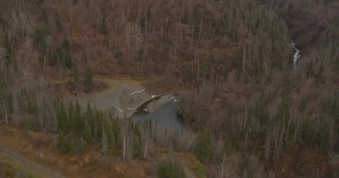 Helicopter Aerial Forest Stock Videos – Royalty-Free HD & 4K Videos ...