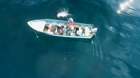 Aerial high angle of gaffer pulling fish... | Stock Video | Pond5