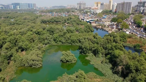 Aerial: Houses in slum by swamp - Mumbai... | Stock Video | Pond5