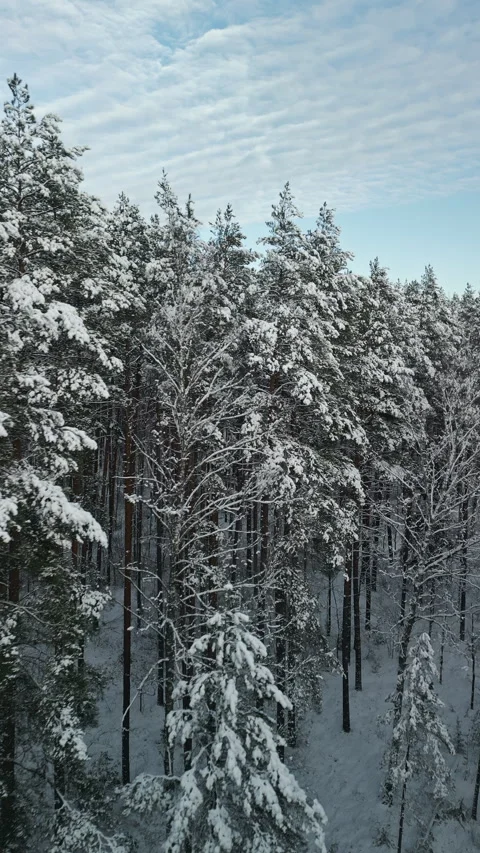 Journey Snowed In Stock Videos – Royalty-Free HD & 4K Videos