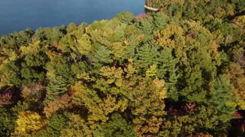 Aerial: Lake with fall foliage. Tilt upw... | Stock Video | Pond5