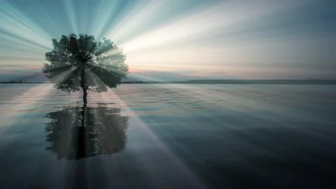 Light Through Water Stock Video Footage | Royalty Free Light Through ...