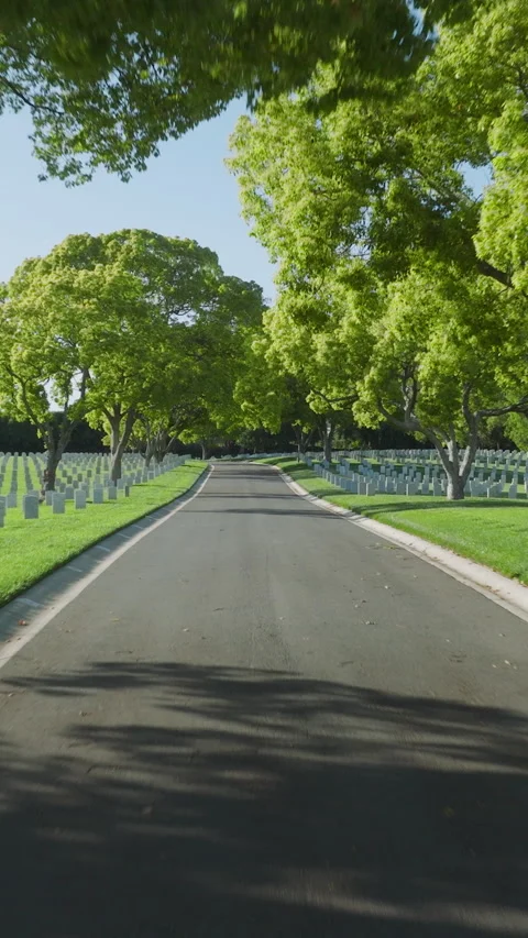 Cemetery Plates Stock Videos – Royalty-Free HD & 4K Videos | Pond5