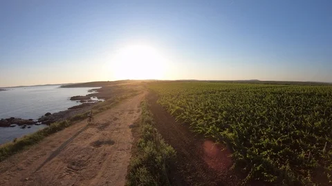 Mind Riding Stock Videos – Royalty-Free HD & 4K Videos