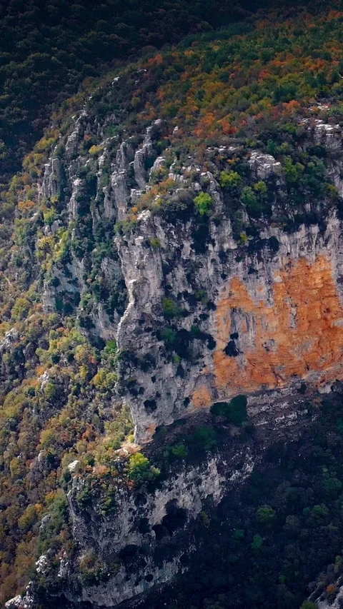 Wallpapers Autumn Stock Videos – Royalty-Free HD & 4K Videos | Pond5