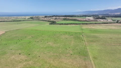 Aerial northern California ranch farm ca... | Stock Video | Pond5