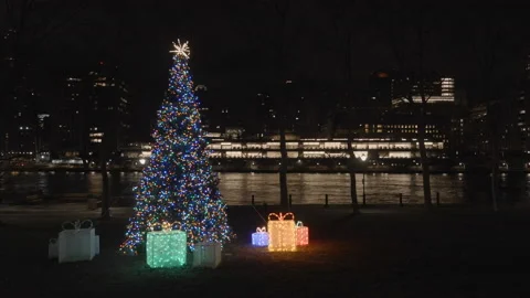 Tree Invitation Stock Video Footage | Royalty Free Tree Invitation ...