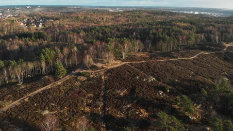 Aerial orbit shot of a forest exploit de... | Stock Video | Pond5