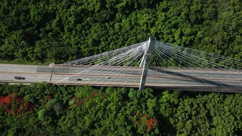 Aerial orbit top view of suspension brid... | Stock Video | Pond5