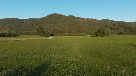Aerial Over Grass Field With Forest Hill... | Stock Video | Pond5