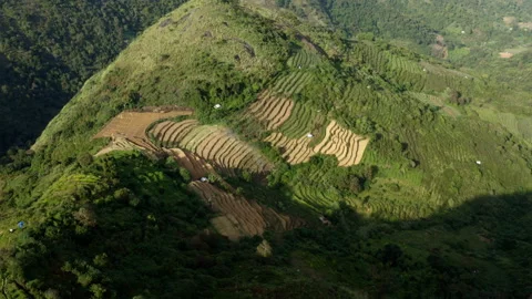 Aerial overview of high elevation rice t... | Stock Video | Pond5