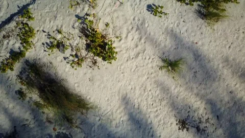 Aerial pan up from a shady beach with sh... | Stock Video | Pond5