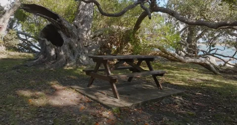 Aerial: Park bench and grand old pohutuk... | Stock Video | Pond5