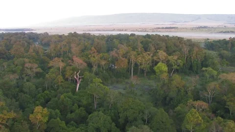 Aerial past forest escarpment background | Stock Video | Pond5