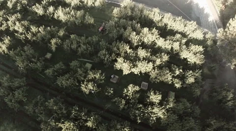 Production Trcaker Stock Videos – Royalty-Free HD & 4K Videos | Pond5