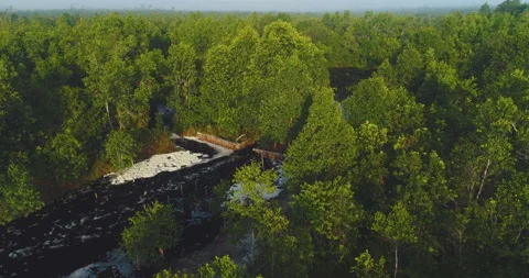 Aerial of Peat Forest Dam, Sebangau Nati... | Stock Video | Pond5