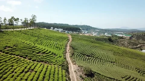 People Twea Stock Videos – Royalty-Free HD & 4K Videos