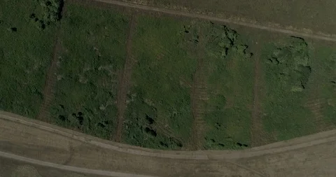 Aerial Plan view, going over the tallest... | Stock Video | Pond5