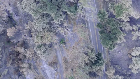 Post Fire Stock Videos – Royalty-Free HD & 4K Videos