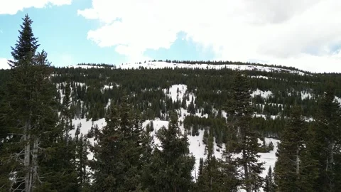 Aerial push in between pine trees in sno... | Stock Video | Pond5