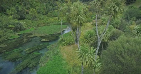 aerial: Refreshing Aqua Blue Springs r... | Stock Video | Pond5