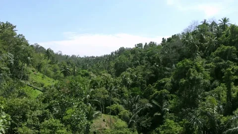 Aerial Reveal of Jungle to Volcano | Stock Video | Pond5