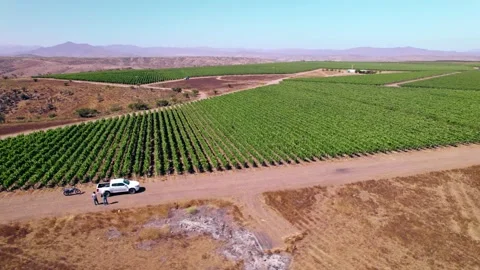 Aerial rotating shot of a farmer at the ... | Stock Video | Pond5