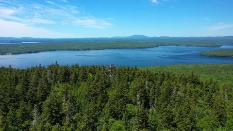 Aerial rotation above tall trees over is... | Stock Video | Pond5