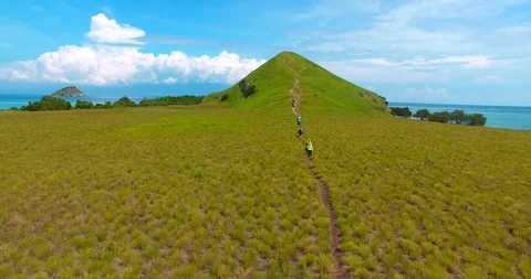 Savannah Wallpaper Stock Videos – Royalty-Free HD & 4K Videos | Pond5