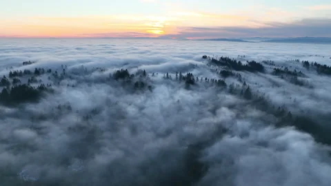 Drifting Fog Stock Video Footage | Royalty Free Drifting Fog Videos | Pond5