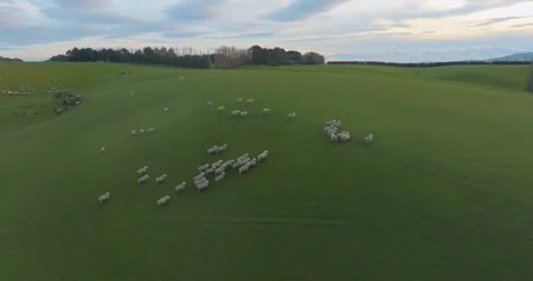 Gore Stock Video Footage | Royalty Free Gore Videos | Pond5