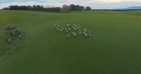 Gore Stock Video Footage | Royalty Free Gore Videos | Pond5