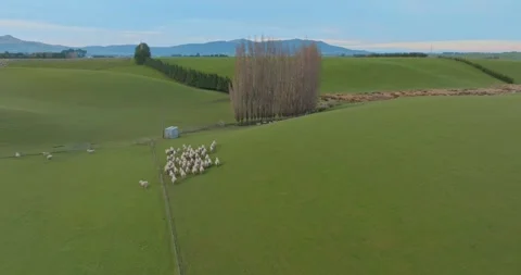 Gore Stock Video Footage | Royalty Free Gore Videos | Pond5