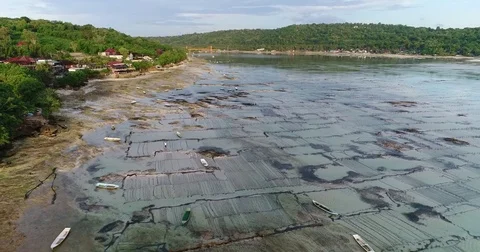Aerial shot of algae plantation in shall... | Stock Video | Pond5