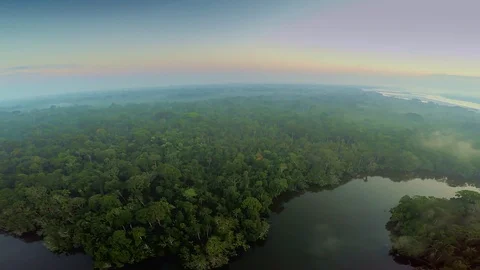 Amazon Primevfi Stock Videos – Royalty-Free HD & 4K Videos | Pond5