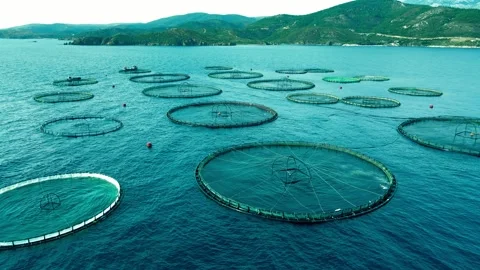 Aerial shot of Aquaculture sea fish farm... | Stock Video | Pond5