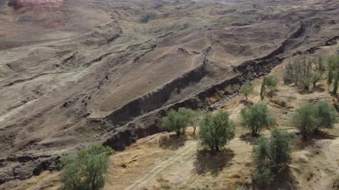 Ark Stock Footage ~ Royalty Free Stock Videos | Pond5